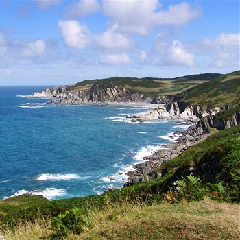 Devon Coastal Charm